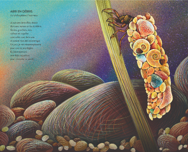 Maison / Kinderbuch Französisch / Isabelle Simler – mundo azul