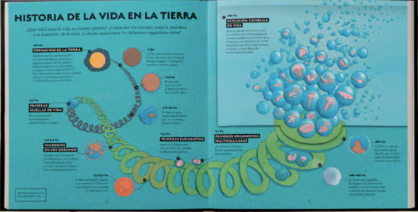 Vida / Bilderbuch Spanisch / Guillaume Duprat – mundo azul