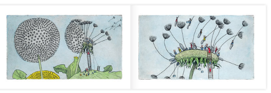 The Giant Seed / Kinderbuch Englisch / Silent Book / Arthur Geisert ...