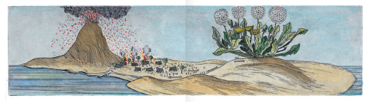 The Giant Seed / Kinderbuch Englisch / Silent Book / Arthur Geisert ...