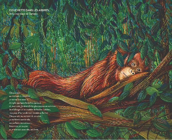 Maison / Kinderbuch Französisch / Isabelle Simler – mundo azul