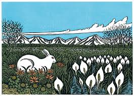 Der weise Hase Isopo / TEJIMA, Keizaburo, SHITAKU, Yae / Kinderbuch ...